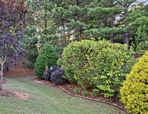 1954 Links View Drive Shelley Saunders By Brandon Lawn Real Estate