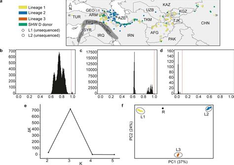 Configuration And Genetic Structure Of The Aegilops Tauschii Diversity