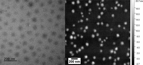 Figure 2 From Determination Of Internal Density Profiles Of Smart