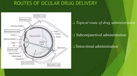 Telithromycin Ocular Ointment Ppt