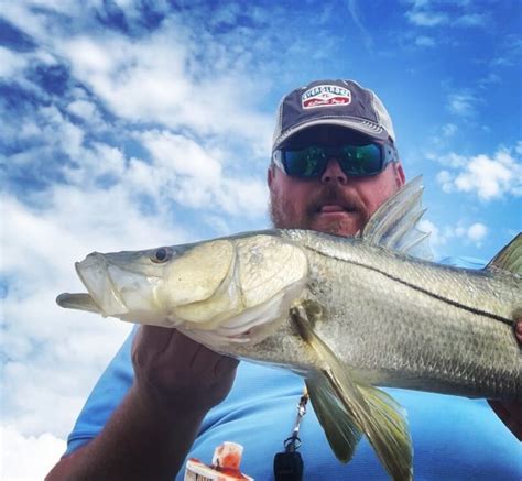 Snook Lures And Bait How Where And When To Fish Them