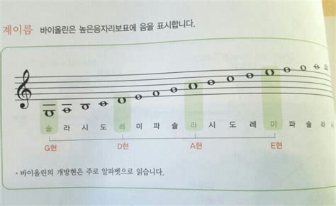 악기 취미 바이올린 독학 왼손 운지표 붙이기 네이버 블로그