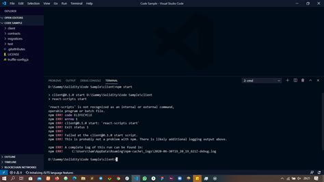 Truffle Client How To Fix Npm Error On Truffle Client Side App By