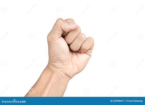 Mano Pu O Para Arriba Apretado Aumentado Aislado En El Fondo Blanco Imagen De Archivo