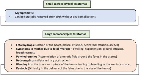 Sacrococcygeal Teratoma In Adults