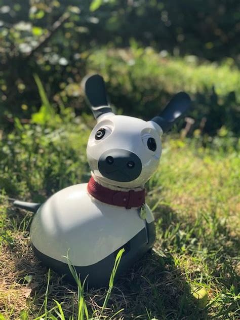 Consequential Robotics On Linkedin Wtisd2022 Wtisd Robotics Coding