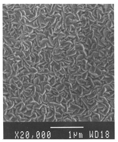 Scanning Electron Micrograph Of A 05 Pm Zns Tilm On Sii Ii