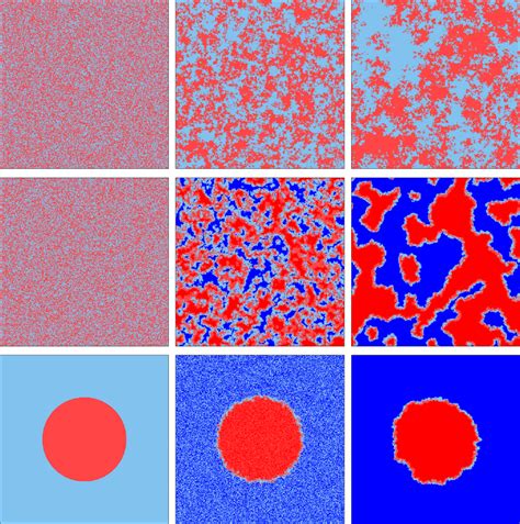 Snapshots At Different Times For The 2d Vm Top Row And Our Model Download Scientific Diagram