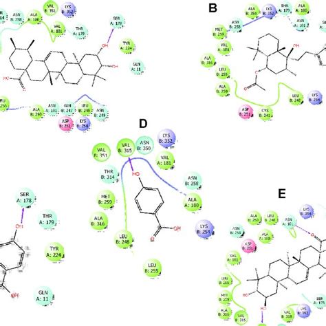 Best Ranked Pose And 2d Interactions Of A Corosolic Acid B