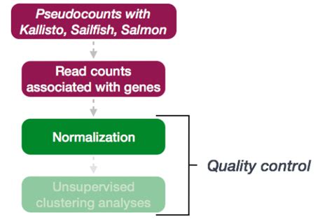 Rna Seq 详细教程：搞定count归一化（5）normalized Rnaseq Data Csdn博客