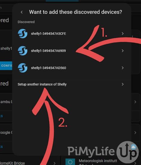 How To Setup Shelly On Home Assistant Pi My Life Up