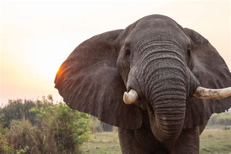 United States Postgresql Association On Linkedin Postgresql Postgres