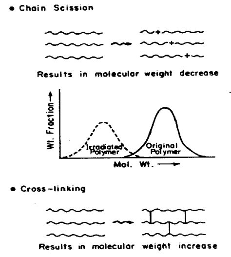 Schematic Illustration Of Chain Scission And Cross Linking And Their Download Scientific