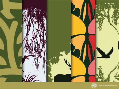 Nature Patterns The Mesmerizing World Of Nature