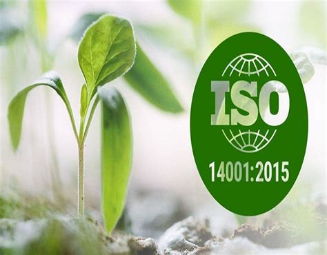 promoting environmental sustainability with iso 14001 ems certification