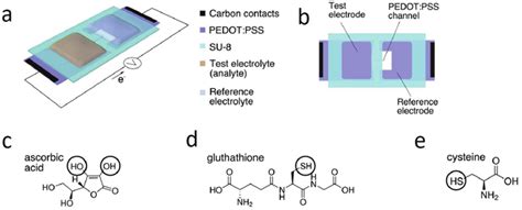 Detection Of Redox Active Compounds Using A Conducting Polymer Based Download Scientific