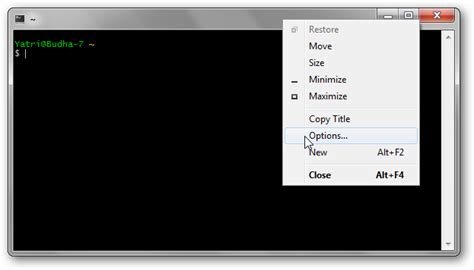 How To Improve Your Cygwin Console With Mintty