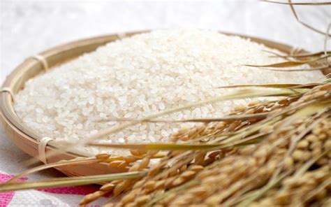米の人気品種と特徴！品種ごとの美味しさについて知ろう 産直プライムブログ Ja連携！産地直送通販なら産直プライム