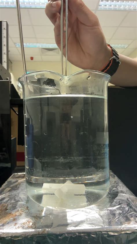 Orange Orange 2ouu0 Roboflow Universe