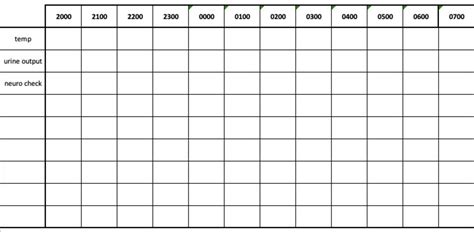Icu Hourly Documentation Etsy