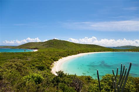 Playa Culebra En Puerto Rico Hot Sex Picture