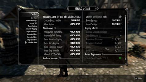 Help SL Animation It Not Work Character Stand Still In Idle Pose Fix Technical Support