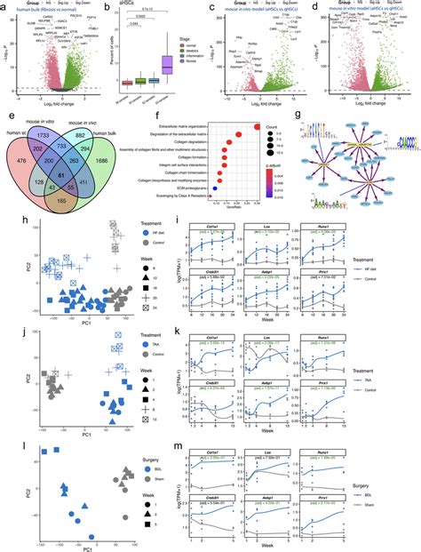 Meta Analysis Of Existing Rna Sequencing Data Sets For Nash And Liver