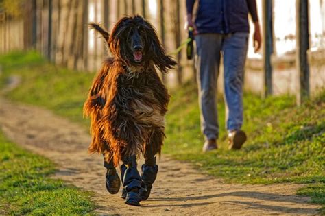 Premium Photo Low Section