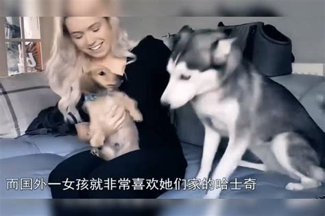 超强仿妆来袭二哈看了都懵掉比川剧变脸还神奇