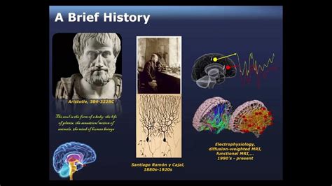 Stor701 002 Lecture10 Graph Theory In Brain Network Analysis Youtube