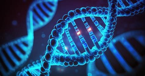 Dna Replication Finding Could Have Implications For Cancer