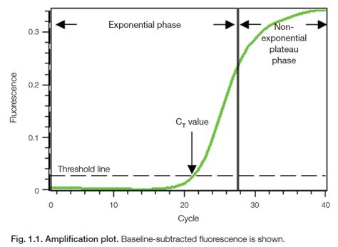 Solved We Can See That The Fluorescence Associated With The