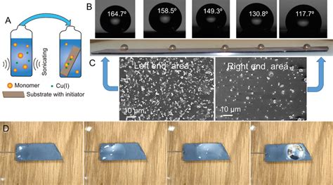 A Schematic Illustration Of The Emulsion Polymerization System For Download Scientific Diagram