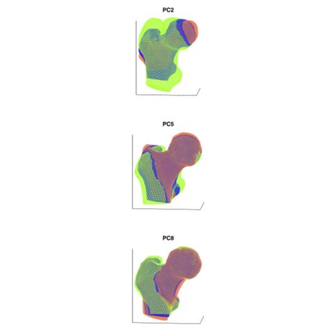 The First Nine Proximal Femurs Principal Components Pcs The Average