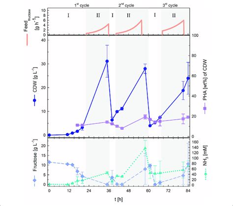 Repeated Fed Batch Cultivation With Semi Continuous Biomass