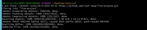Windows Rust使用llvm Pass 知乎