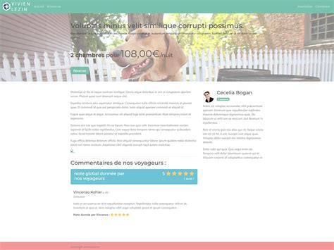 Portfolio Vivien Lezin Webdesigner Et Développeur Web Sur Montauban