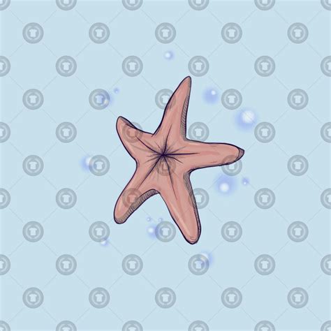 Chocolate Starfish Asshole T Shirt Teepublic