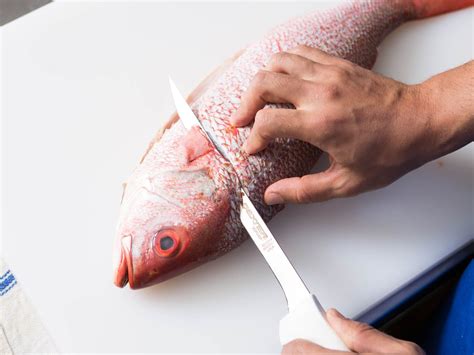 Filleting Fish