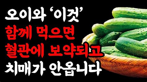 오이와 함께 먹으면 보약되는 음식3가지와 건강레시피 그리고 오이로 혈관청소하는 비법과 치매예방하는 꿀팁 꼰대의책 Youtube