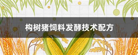构树猪饲料发酵技术配方 七彩三农