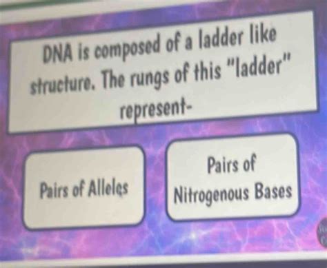 Solved Dna Is Composed Of A Ladder Like Structure The Rungs Of This
