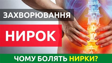 5 ознак того що у вас ПРОБЛЕМИ з НИРКАМИ Як болять НИРКИ симптоми Чому можуть боліти НИРКИ