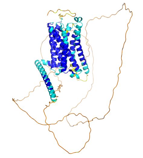 Pymol Analysis And Display Of Alphafold Predictions