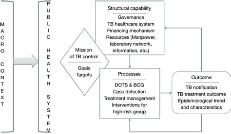 Conceptual Framework Of Tb Control Program In Public Health System Tb