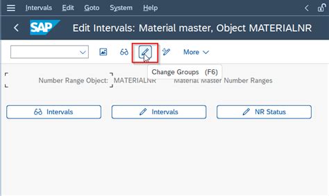 Number Ranges For Each Material Type In SAP