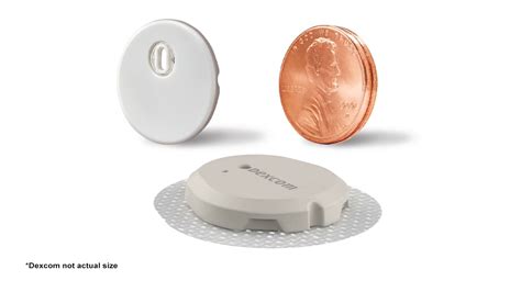 Continuous Glucose Monitor For Purchase At Eric Main Blog