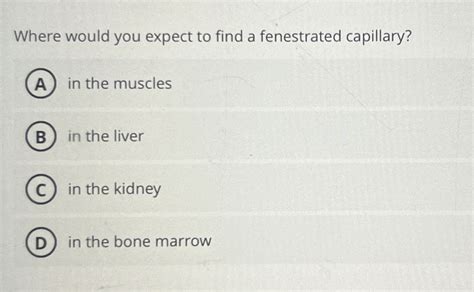 Solved Where Would You Expect To Find A Fenestrated