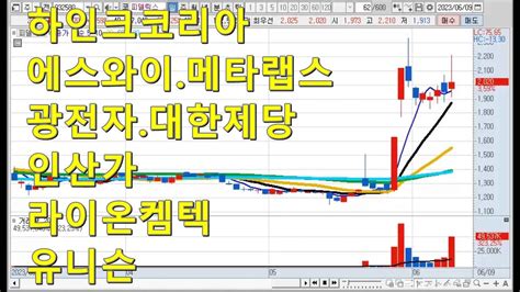 관심종목 하인크코리아에스와이메타랩스광전자대한제당인산가라이온켐텍유니슨 Youtube