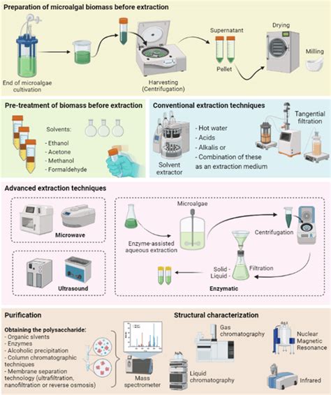 Of The Steps Techniques And Methods Involved In The Extraction